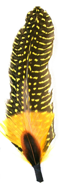 Matching Hat Feather (Single Hat Feather) – Levine Hat Co.